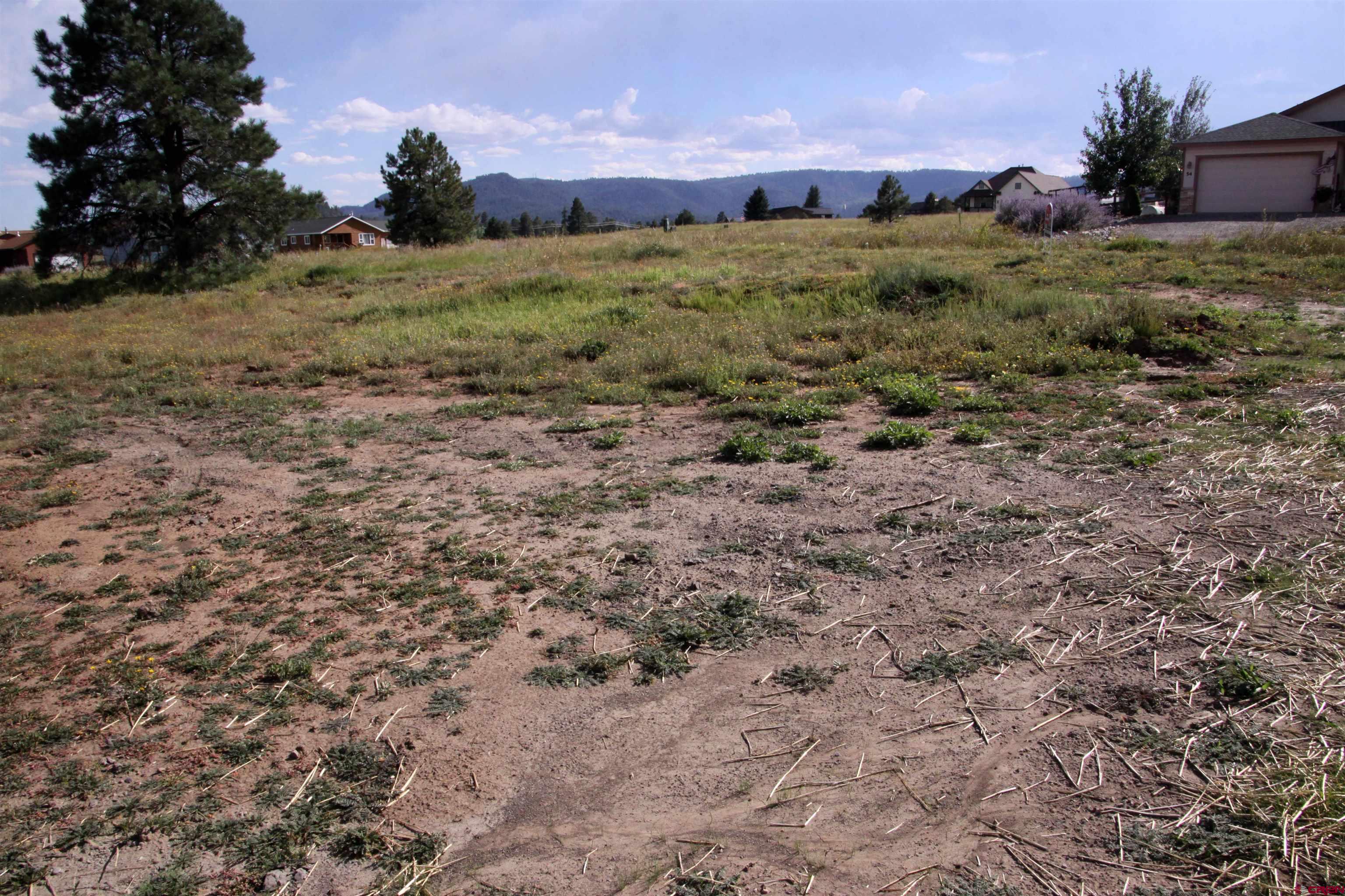 33 Paradise Drive, Pagosa Springs, CO 81147 | MLS # 830587